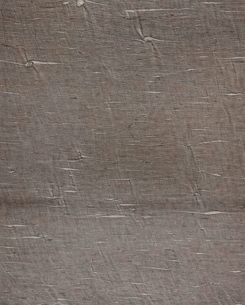 Meteor Shower Quartzite - Bhutra Marble